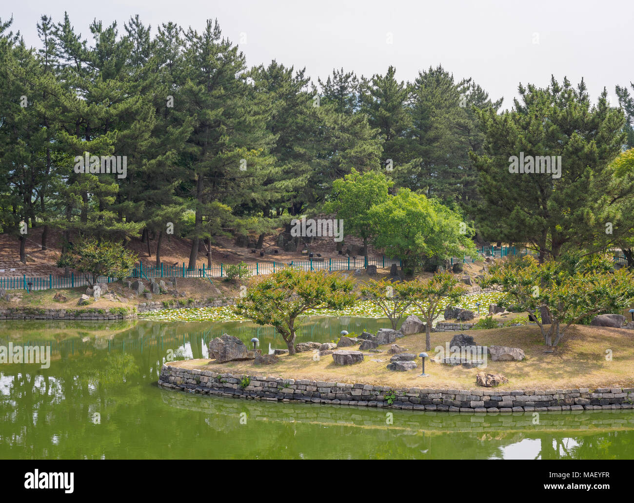 Summer view of backyard, background Stock Photo - Alamy