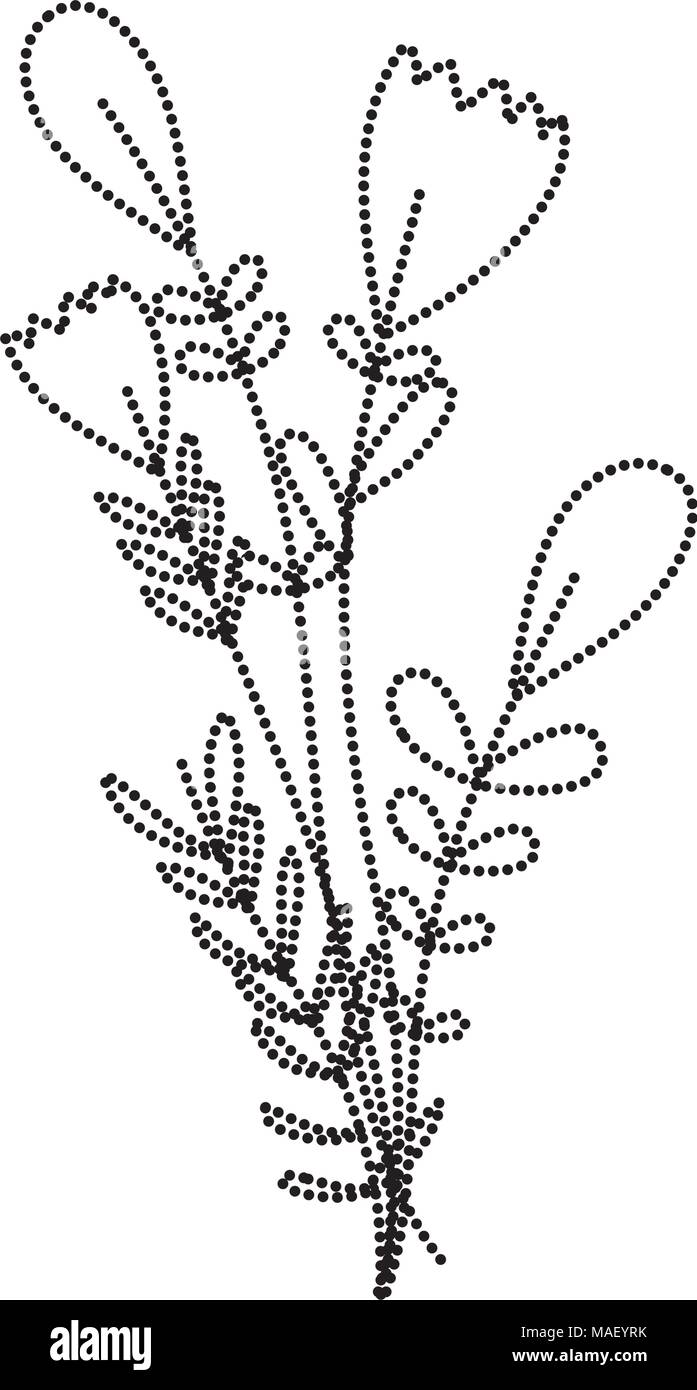 dotted shape beautiful flowers with petals and leaves design vector ...