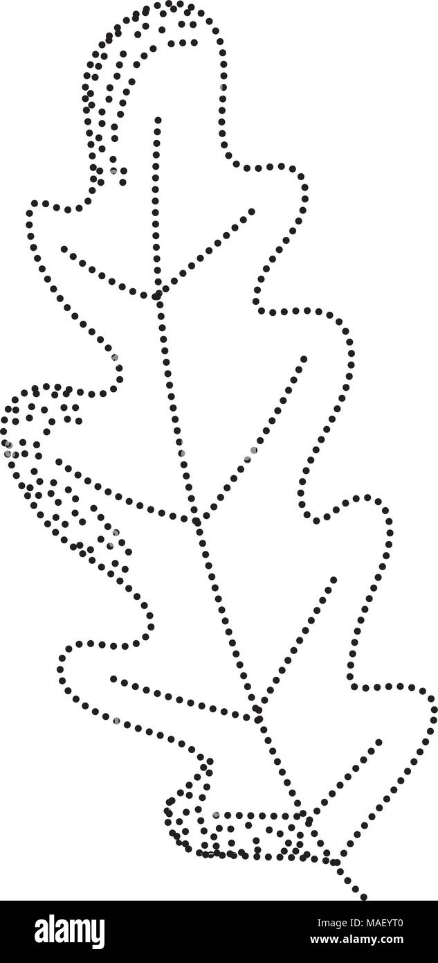 dotted shape nature leaf of palm tree design vector illustration Stock ...