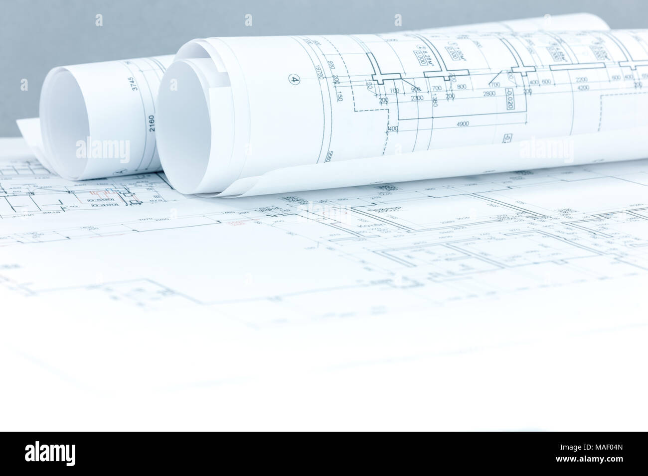 roll blueprints and engineering projects closeup. architect workplace ...