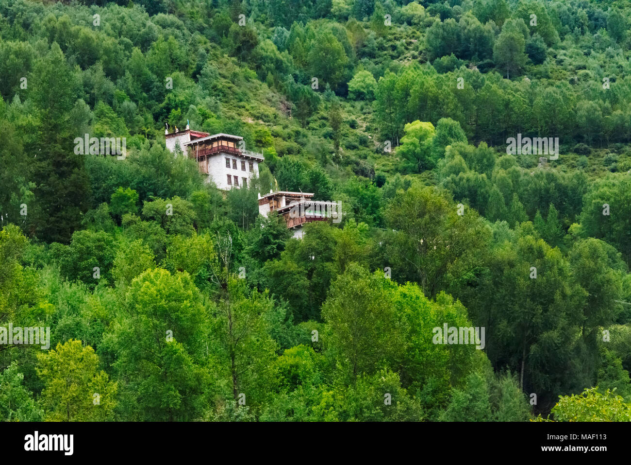 Tibetan houses in the mountain, Zhonglu Village, Danba County, Garze ...