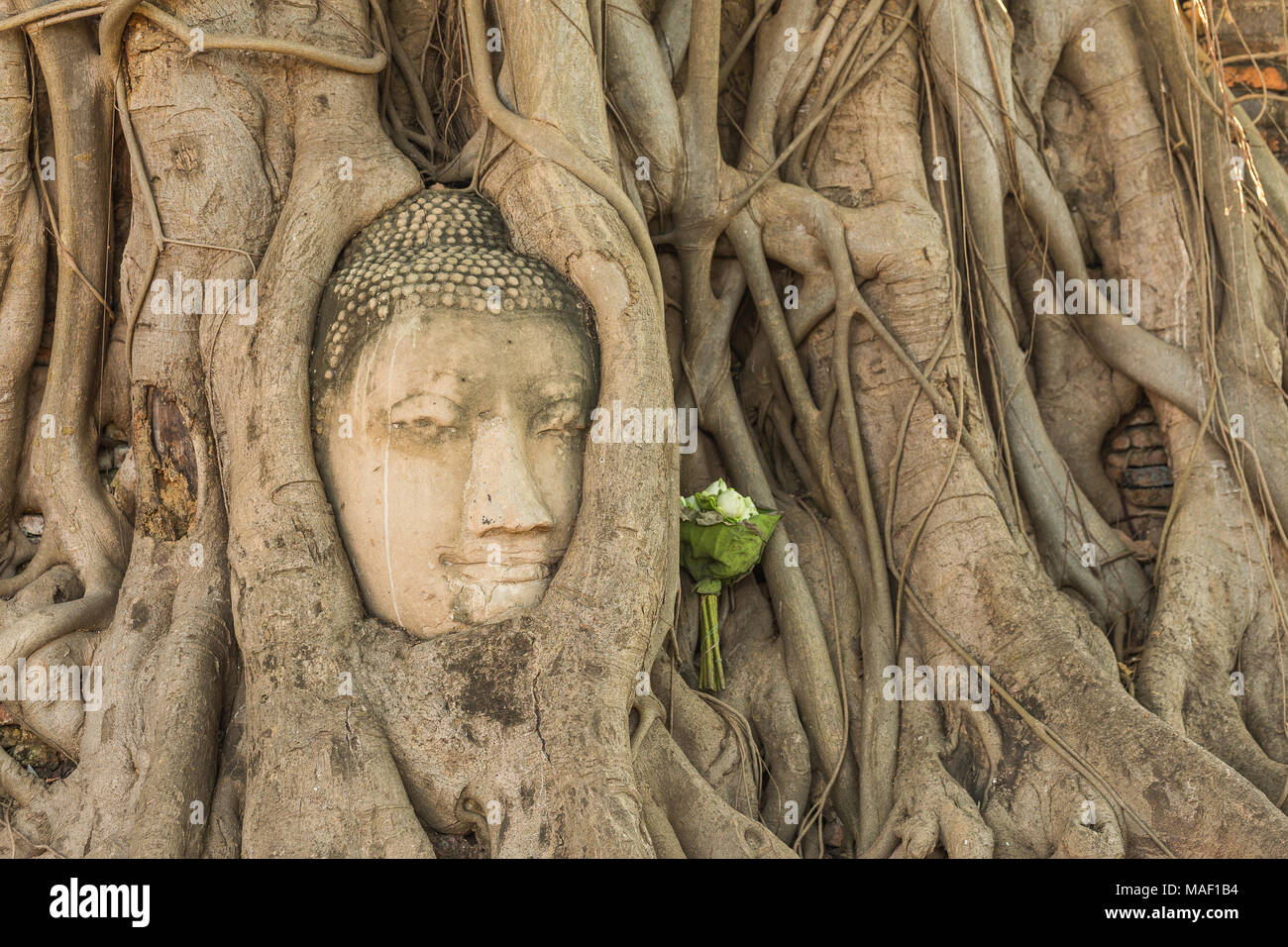 Ayuthaya landmarks hi-res stock photography and images - Alamy