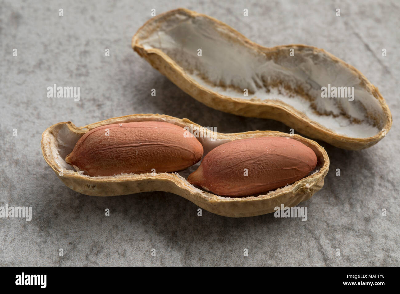 Single open shelled roasted peanut close up Stock Photo - Alamy