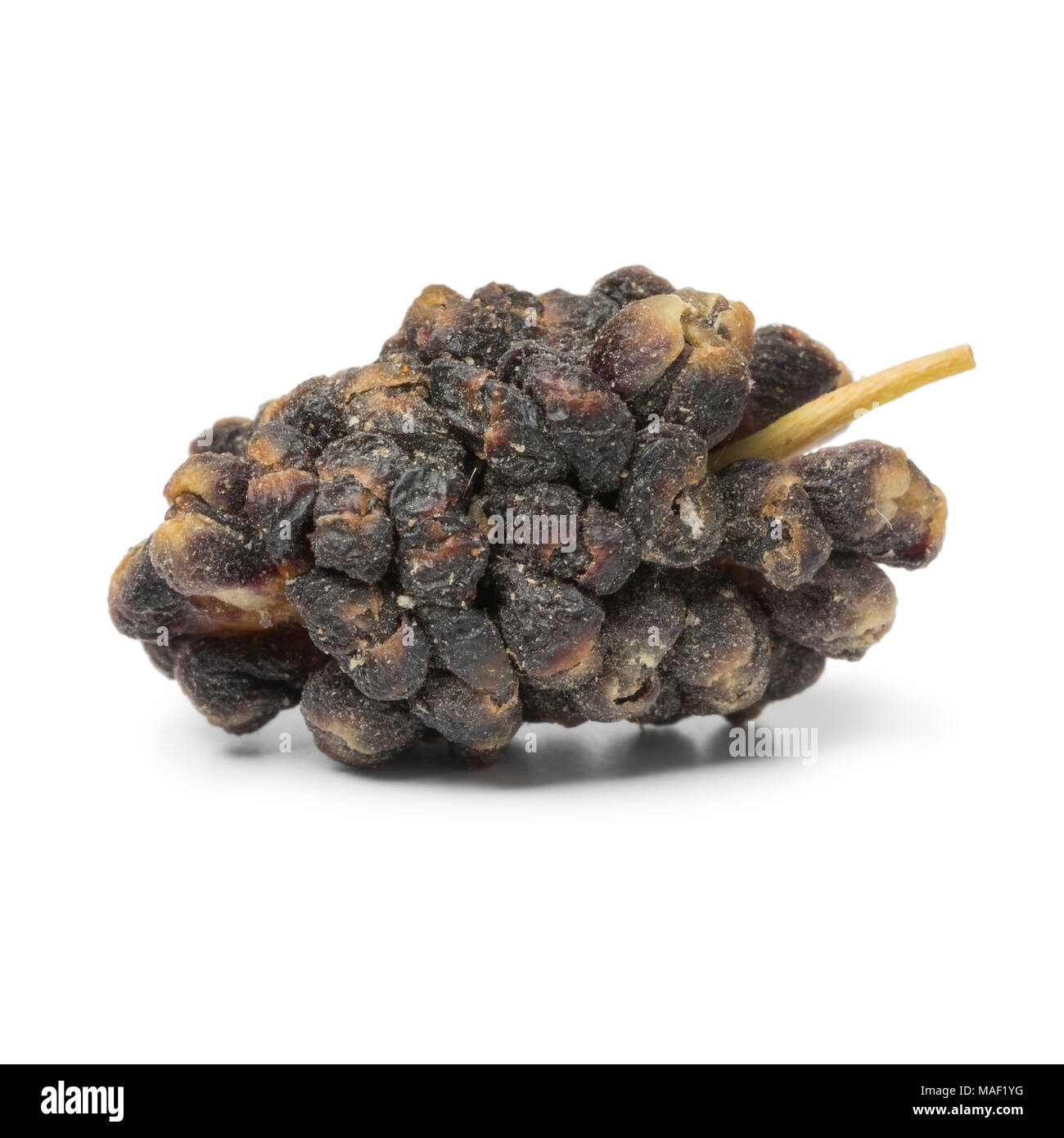 Single dried black mulberry close up isolated on white background Stock ...