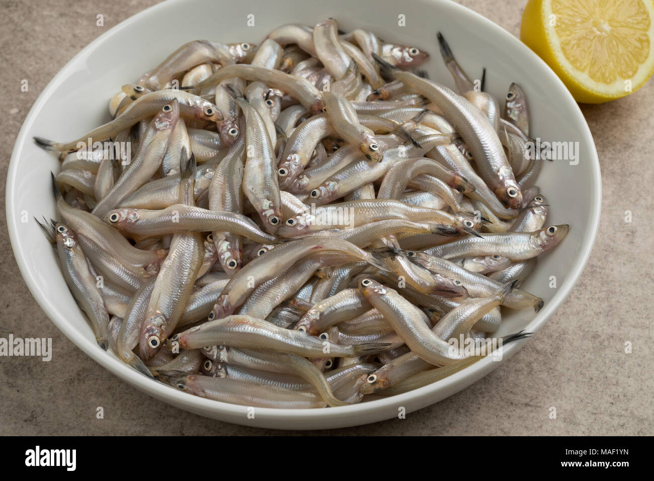 Typical smelts hi-res stock photography and images - Alamy