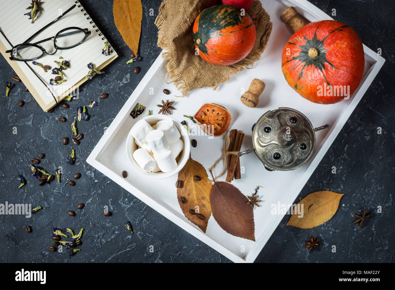 Homemade cocoa with marshmallows, spices and pumpkin, cozy autumn still ...