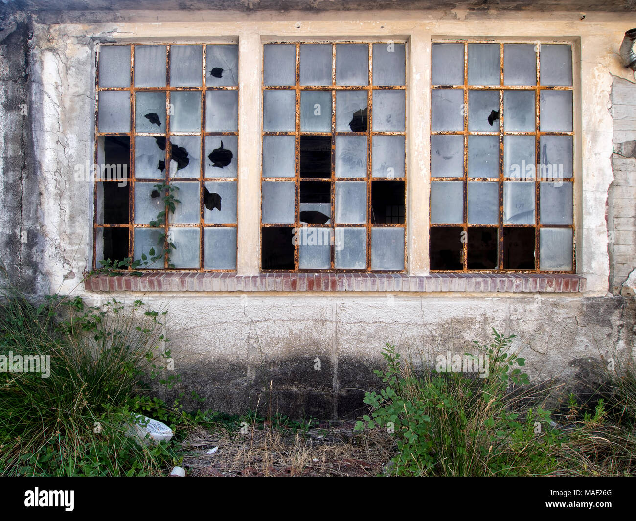 Windows vandalised hi-res stock photography and images - Alamy