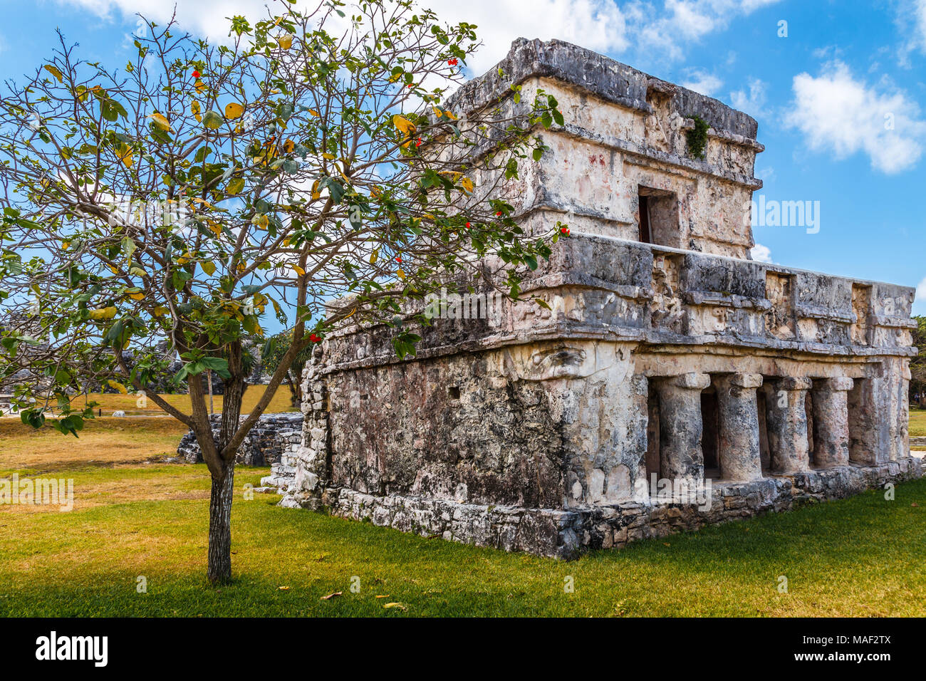 Mayan House Architecture