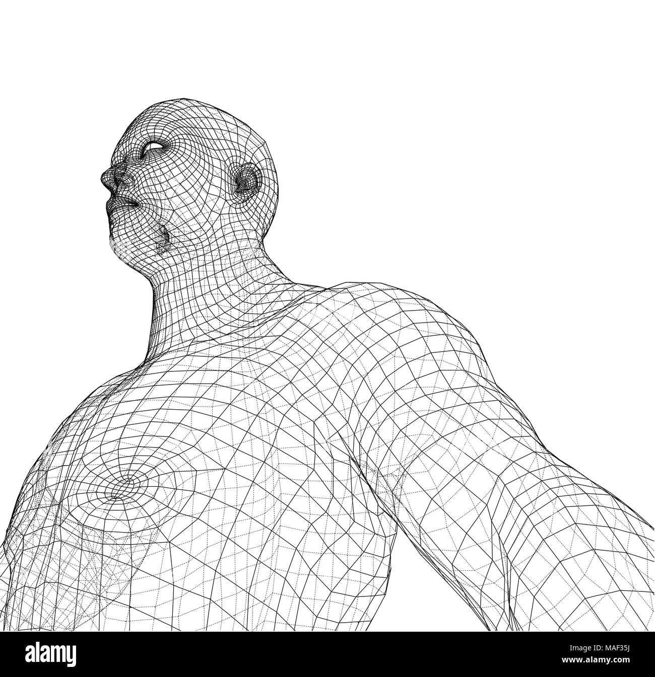 Wire frame athlete body on white background Stock Vector Image & Art ...