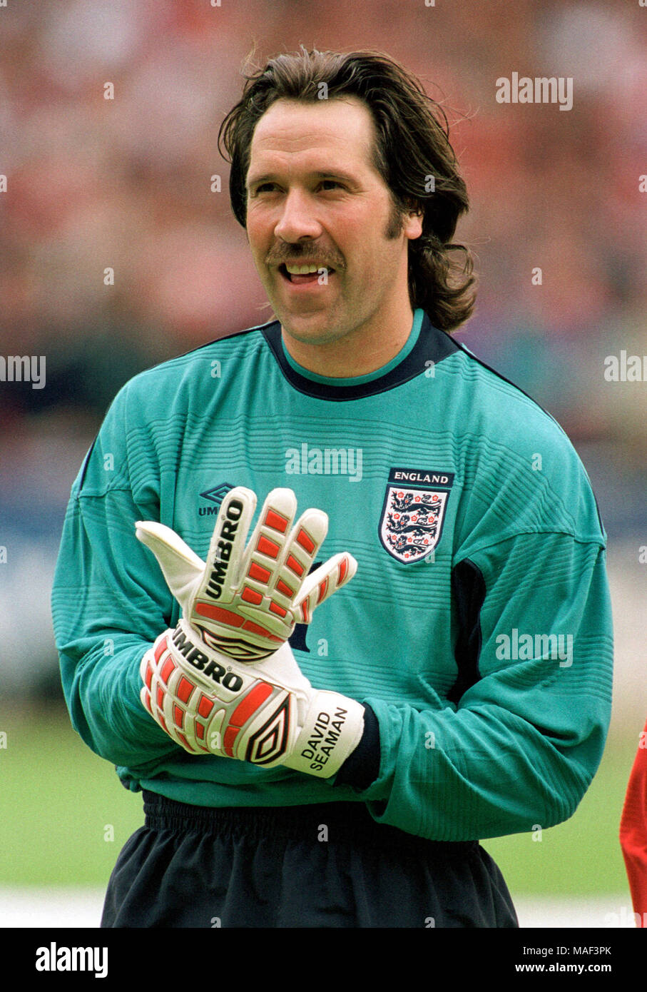 David Seaman High Resolution Stock Photography and Images - Alamy