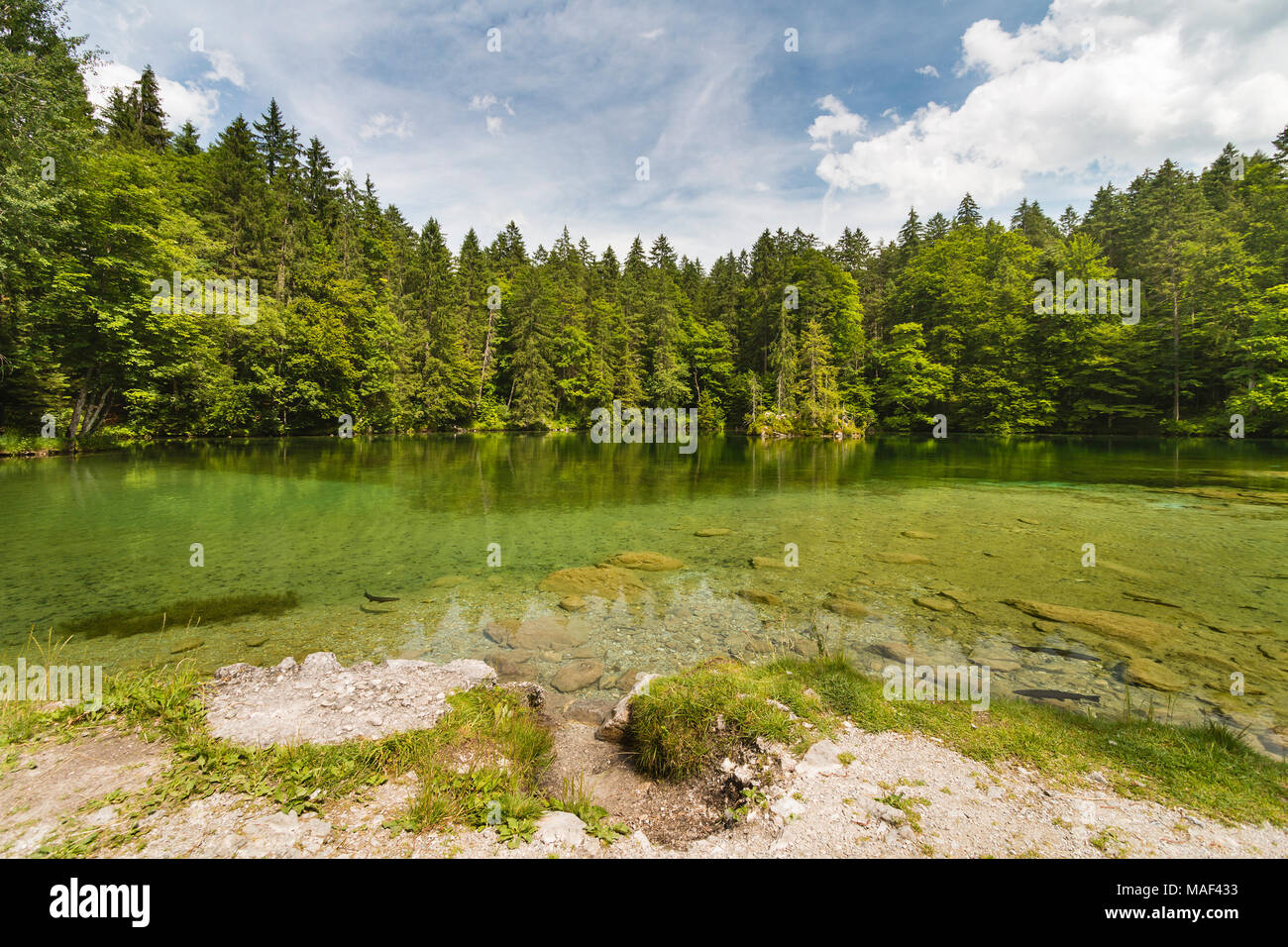 Shallow water at lake Badersee in Grainau, Germany near the Zugspitze ...