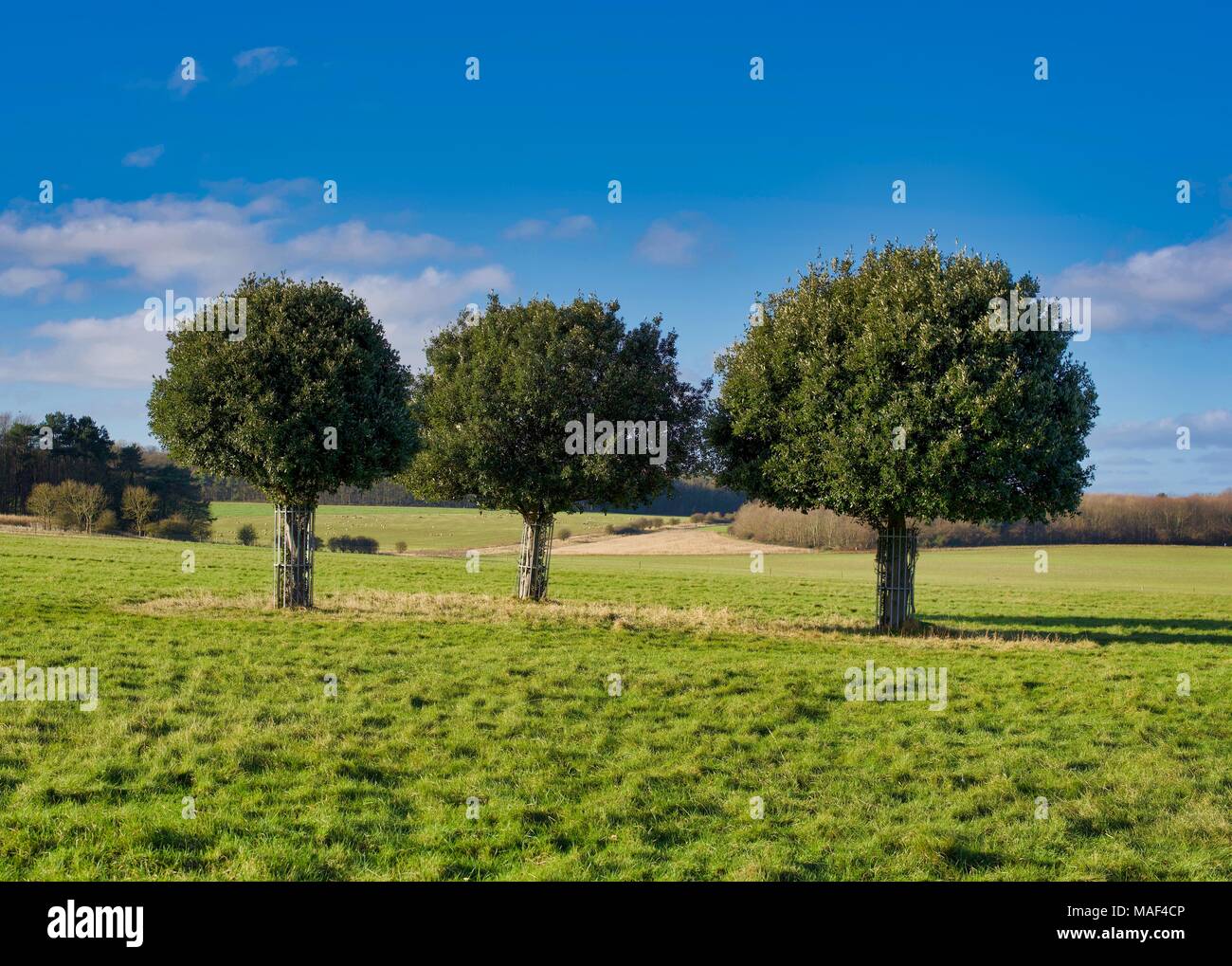 Three identical trees hi-res stock photography and images - Alamy