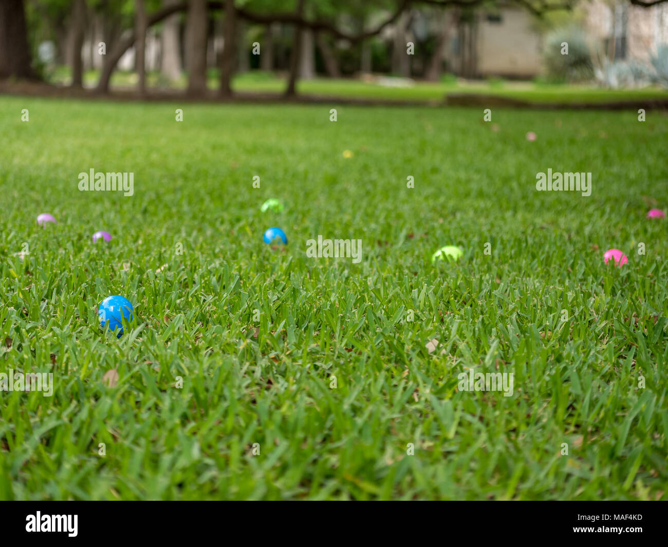 Plastic Easter Eggs In Grass