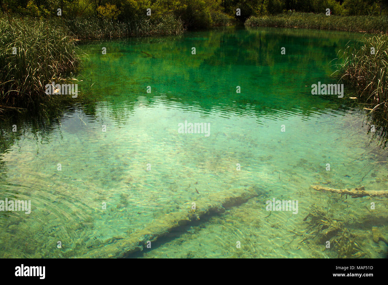 Plitvice lakes National Park, Lika, Croatia, Europe Stock Photo - Alamy