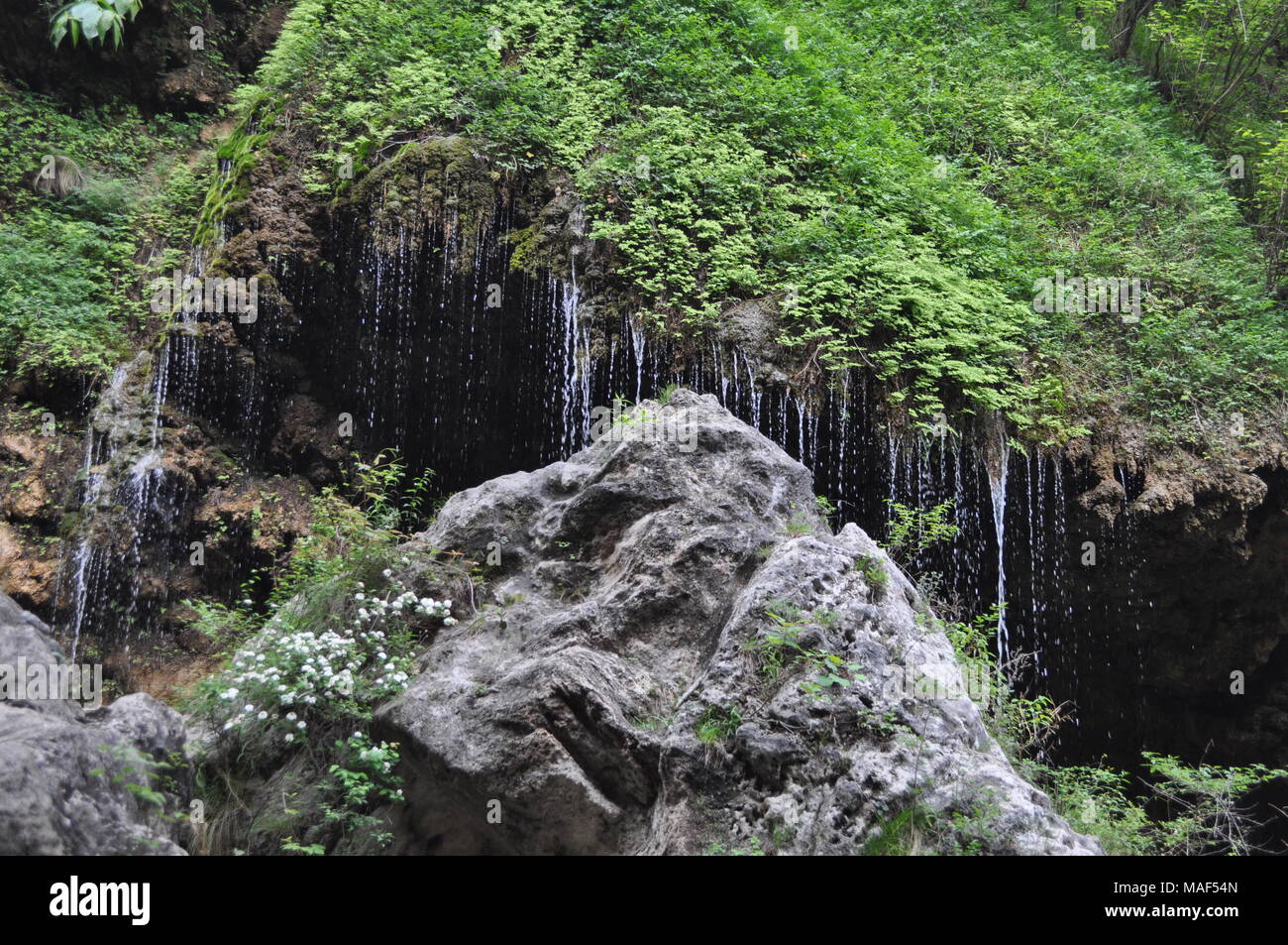 Water dripping from rocks moss hi-res stock photography and images - Alamy