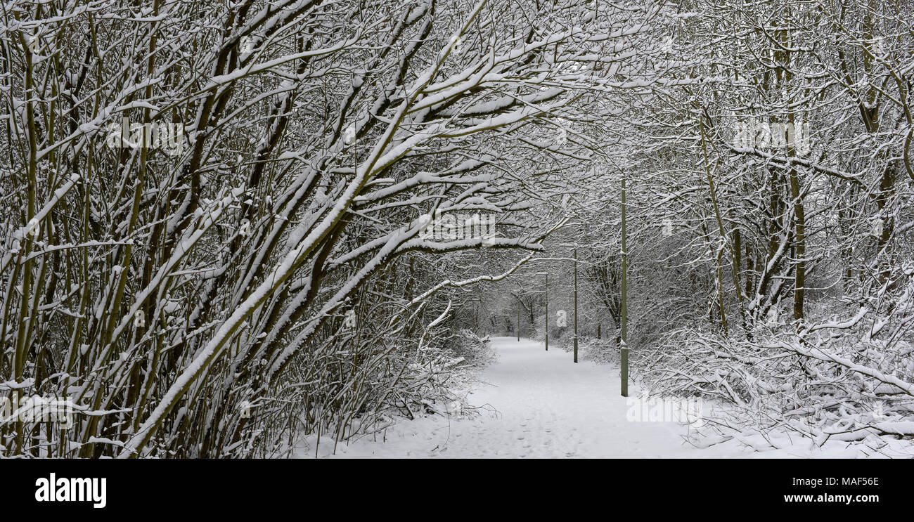 Snow covered footpath at Anton Lakes Nature Reserve in Andover ...