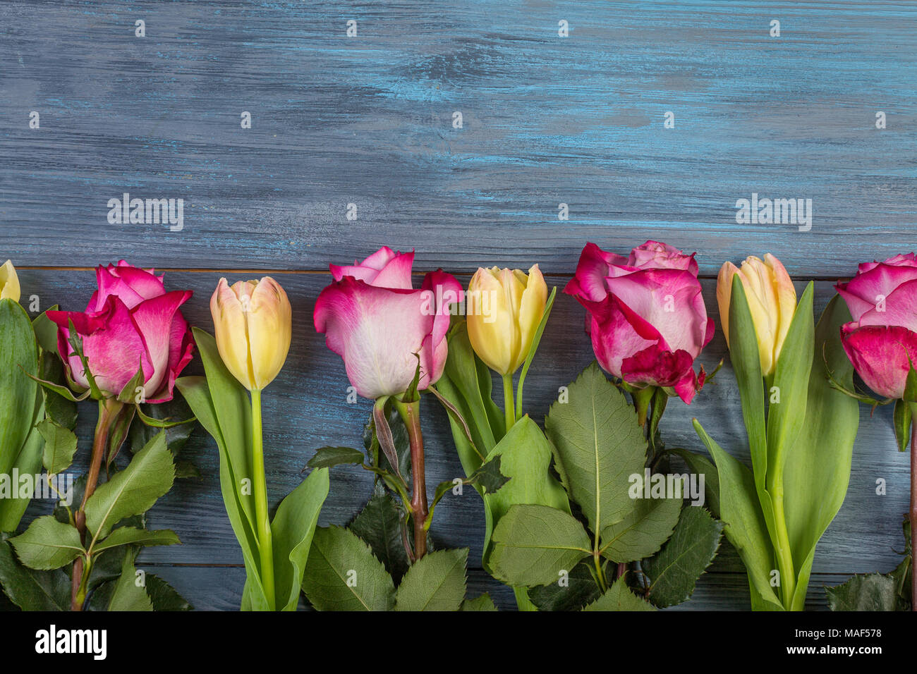 Row roses hi-res stock photography and images - Alamy