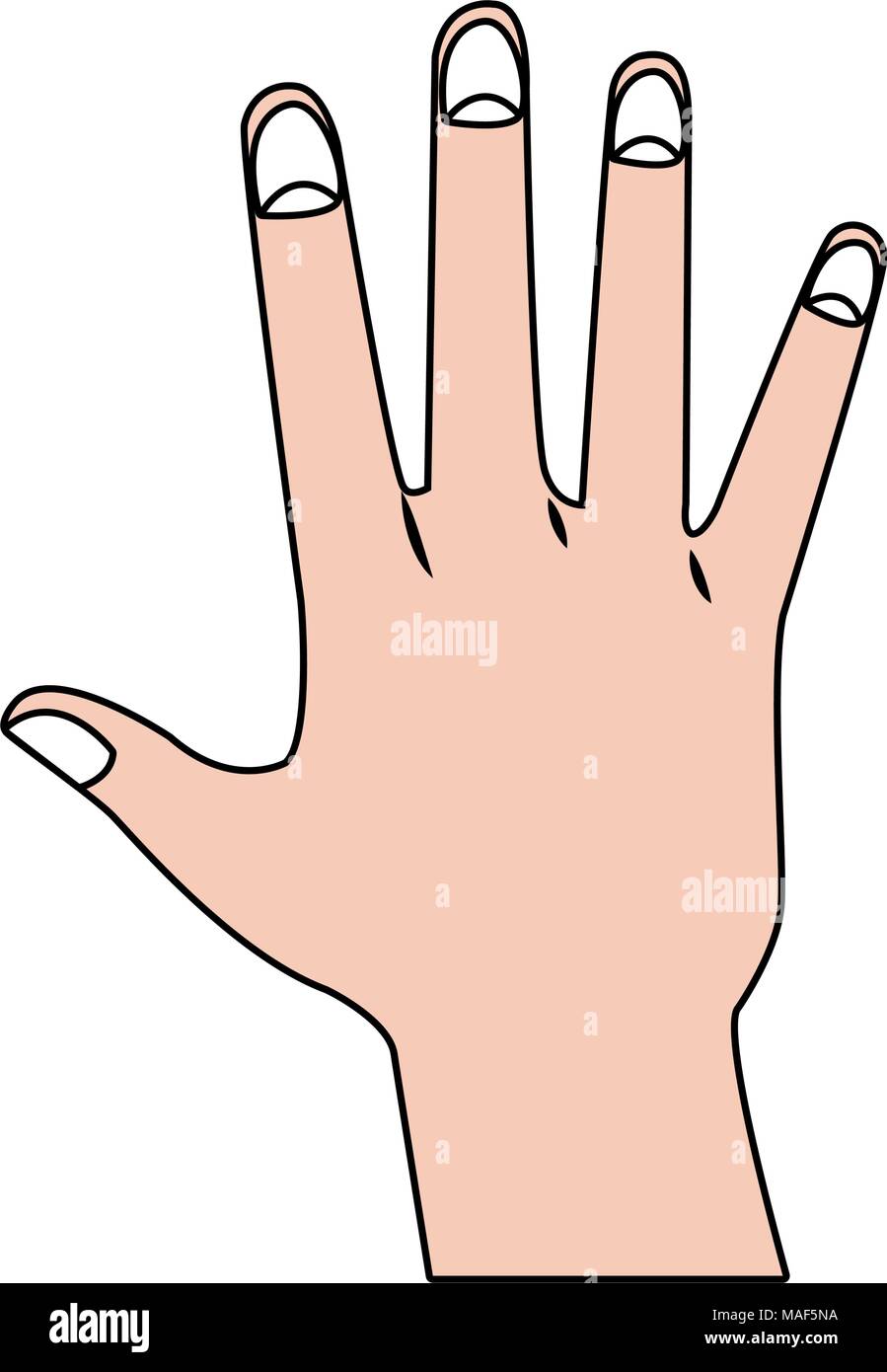 Human hand cartoon Stock Vector Image & Art - Alamy