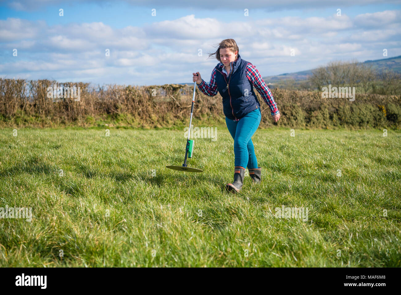 Jamie McCoy , farmer, using a plate meter to measure the growth of ...
