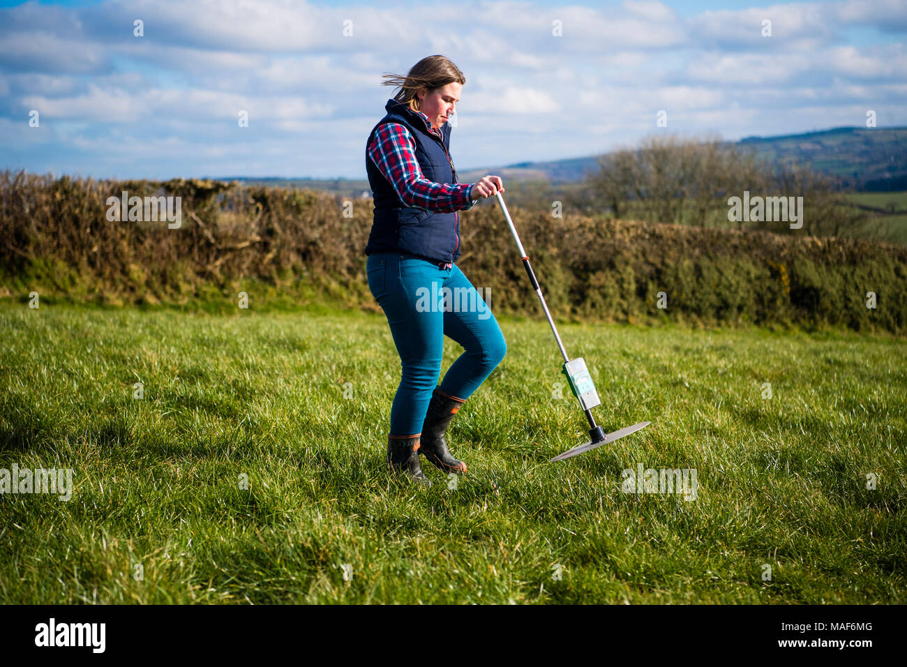 Jamie McCoy , farmer, using a plate meter to measure the growth of ...