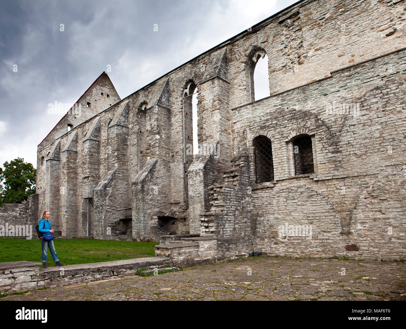 Ancient ruined St. Brigitta convent ( 1436 year) in Pirita region ...