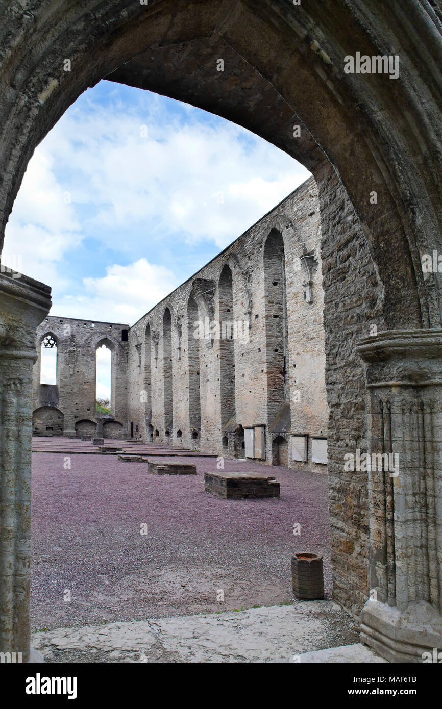 Ancient ruined St. Brigitta convent ( 1436 year) in Pirita region ...