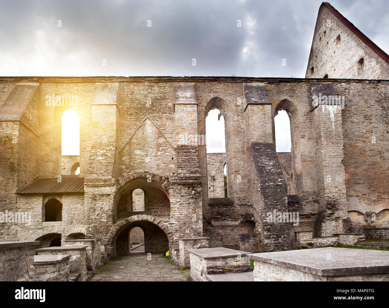 Ancient ruined St. Brigitta convent ( 1436 year) in Pirita region ...
