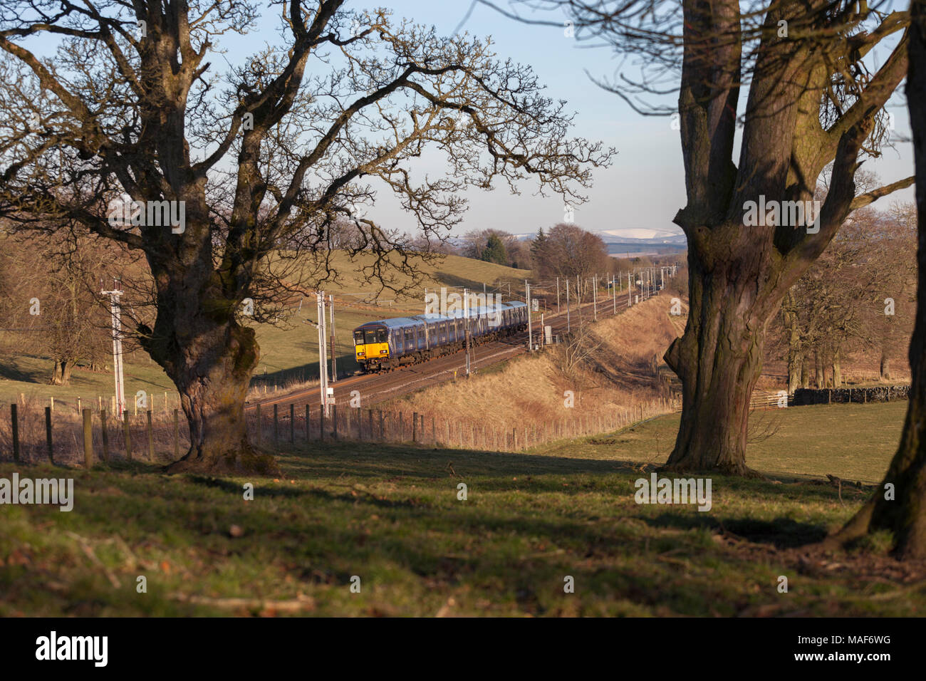 318259 hi-res stock photography and images - Alamy