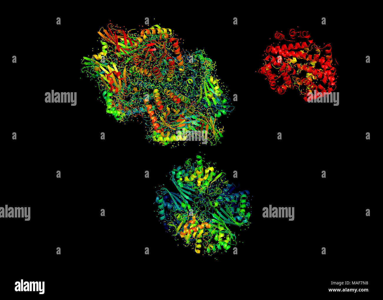 3D model of a protein molecule. The spatial oriented structure of the ...