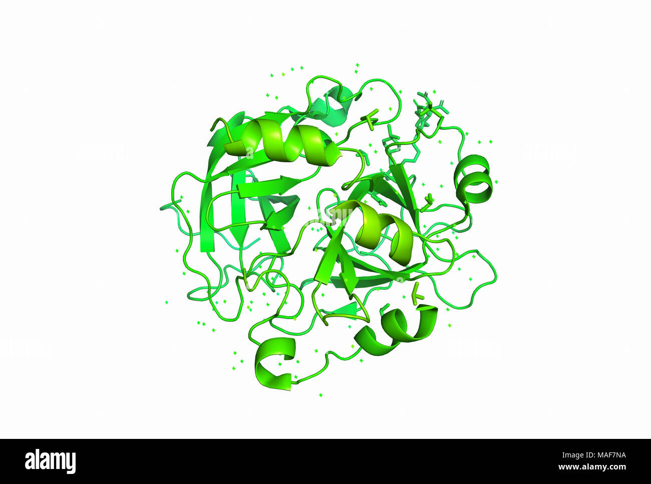 3D model of a protein molecule. The spatial oriented structure of the ...