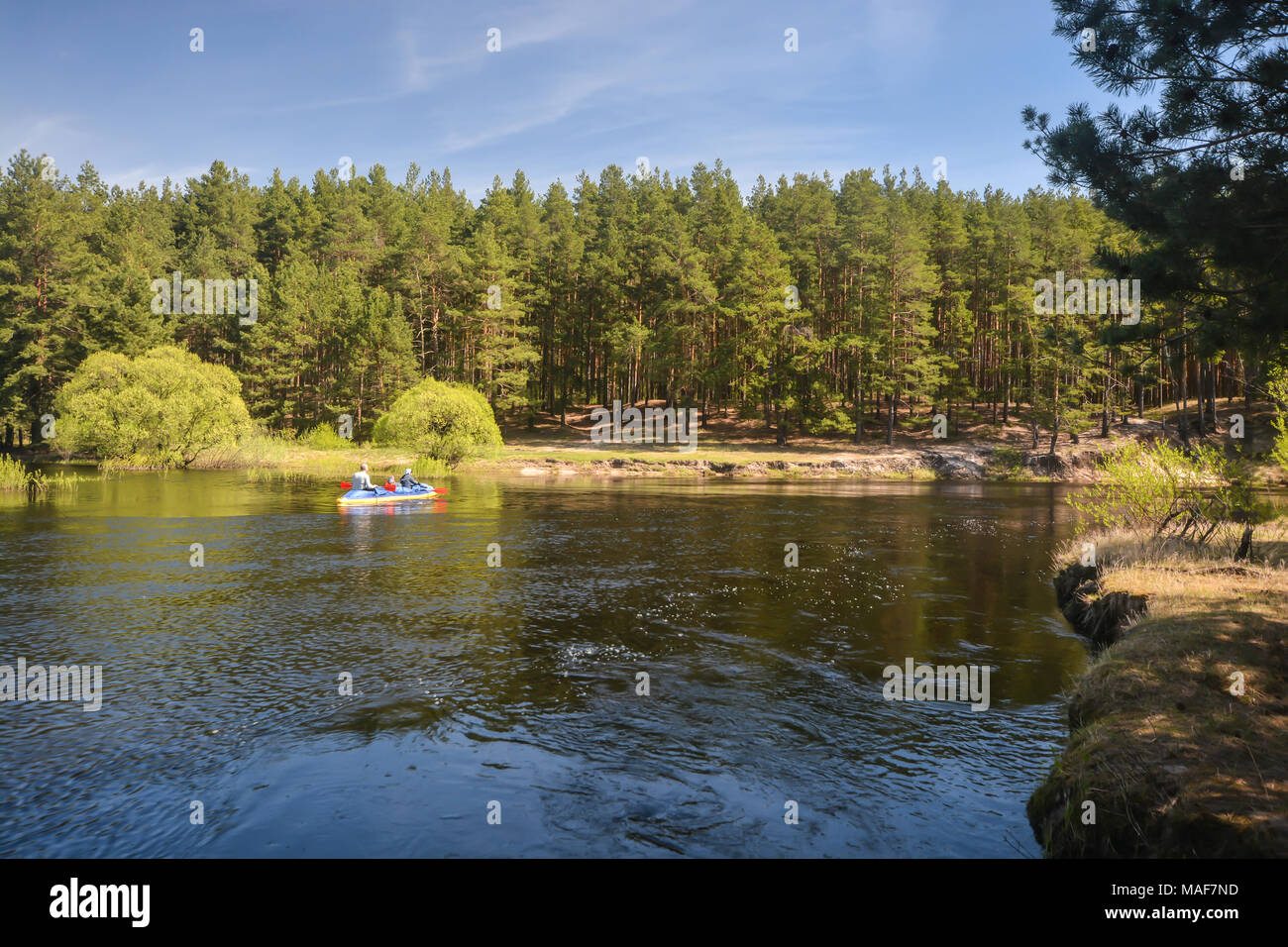 Spring on the forest river. Water landscape in may, national Park in ...