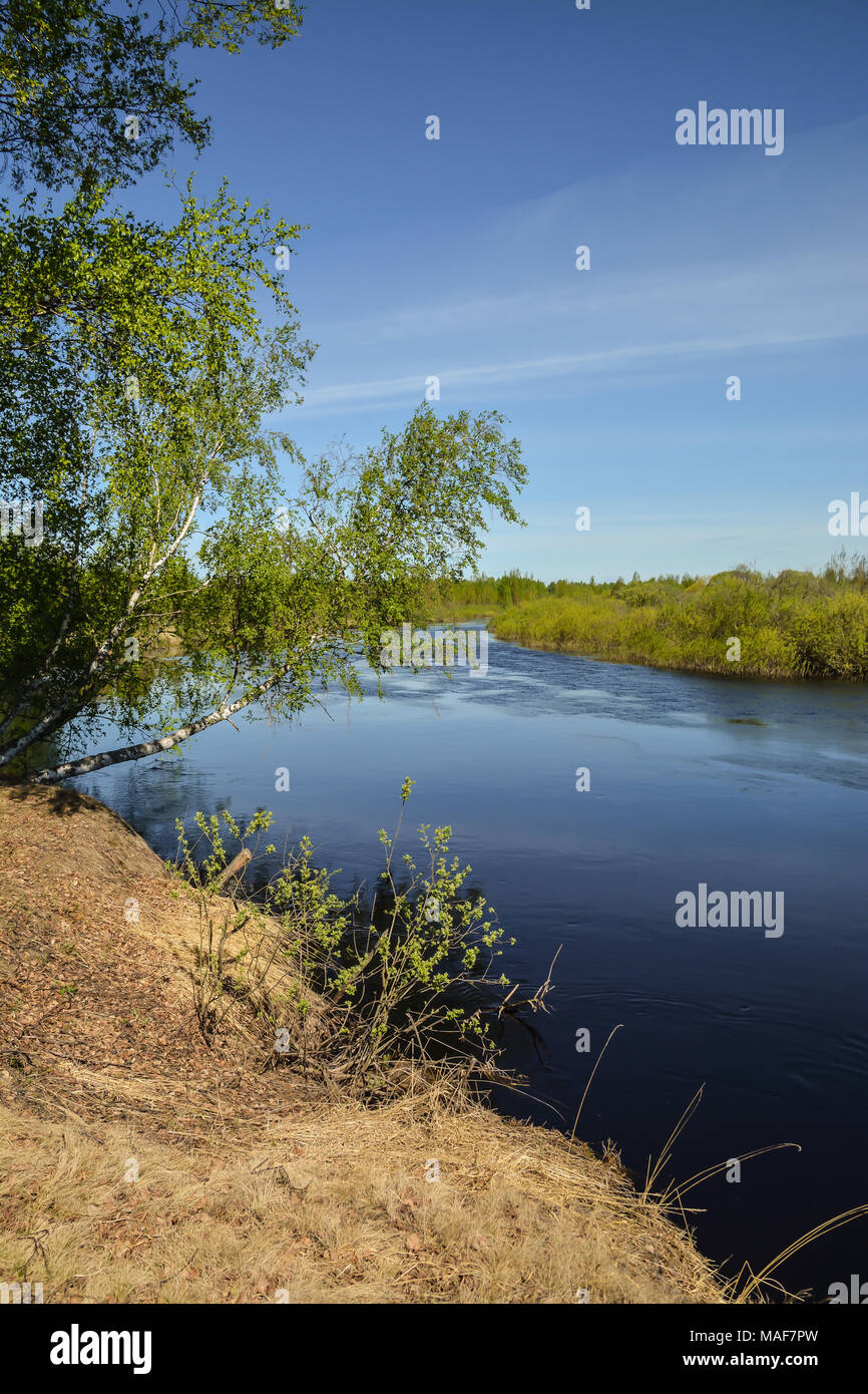 Spring on the forest river. Water landscape in may, national Park in ...