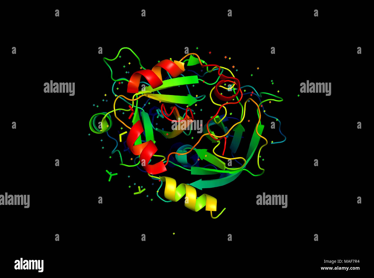 3D model of a protein molecule. The spatial oriented structure of the ...