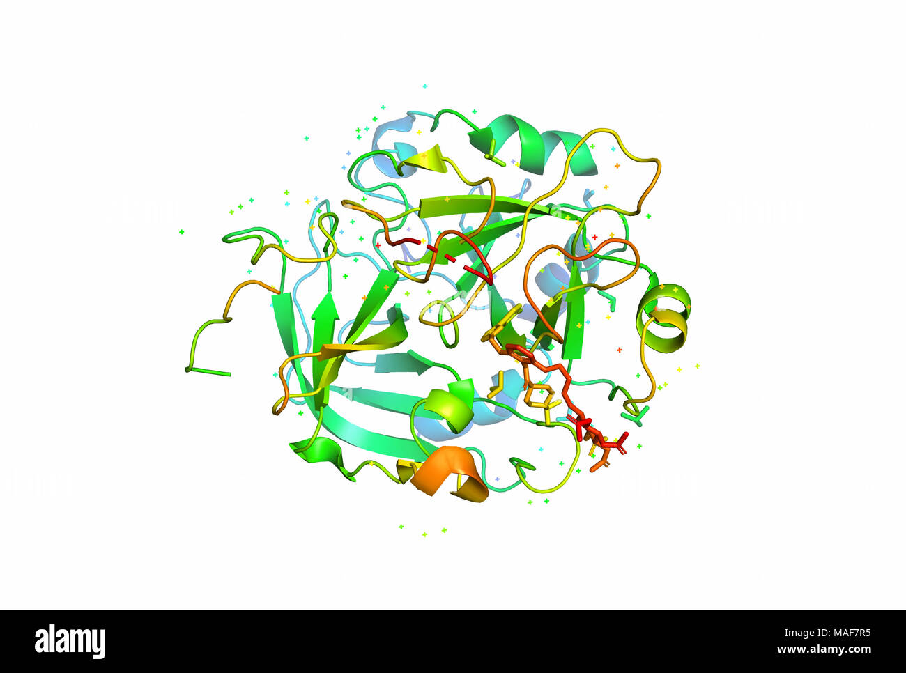 3D model of a protein molecule. The spatial oriented structure of the ...