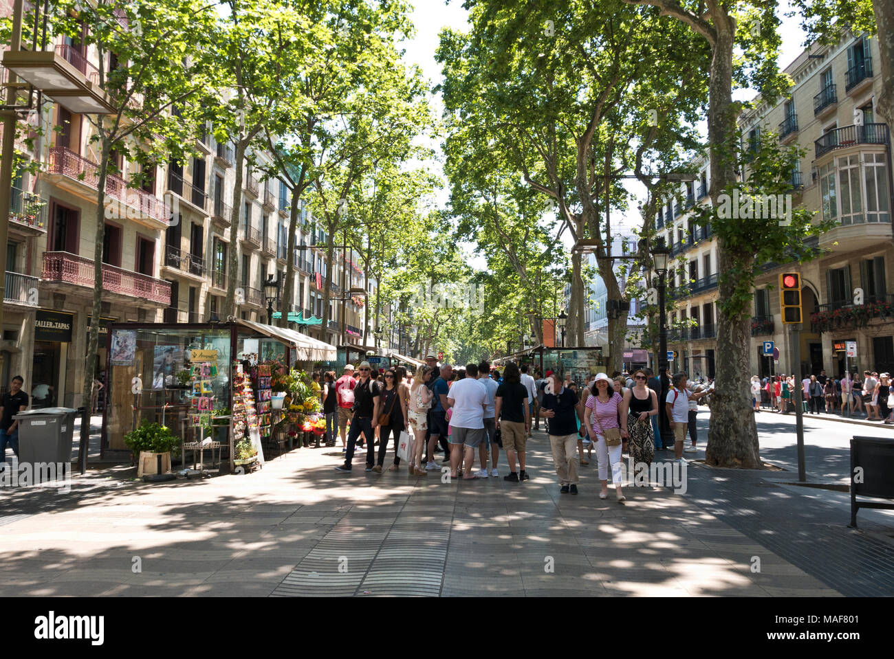 La Rambla pedestrian tourist street in Barcelona Stock Photo - Alamy