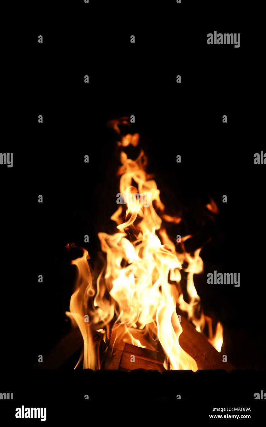 Tongues of a flame of fire of orange-yellow color from burning firewood ...