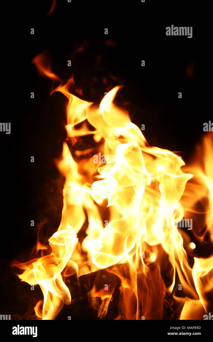 Tongues of a flame of fire of orange-yellow color from burning firewood ...