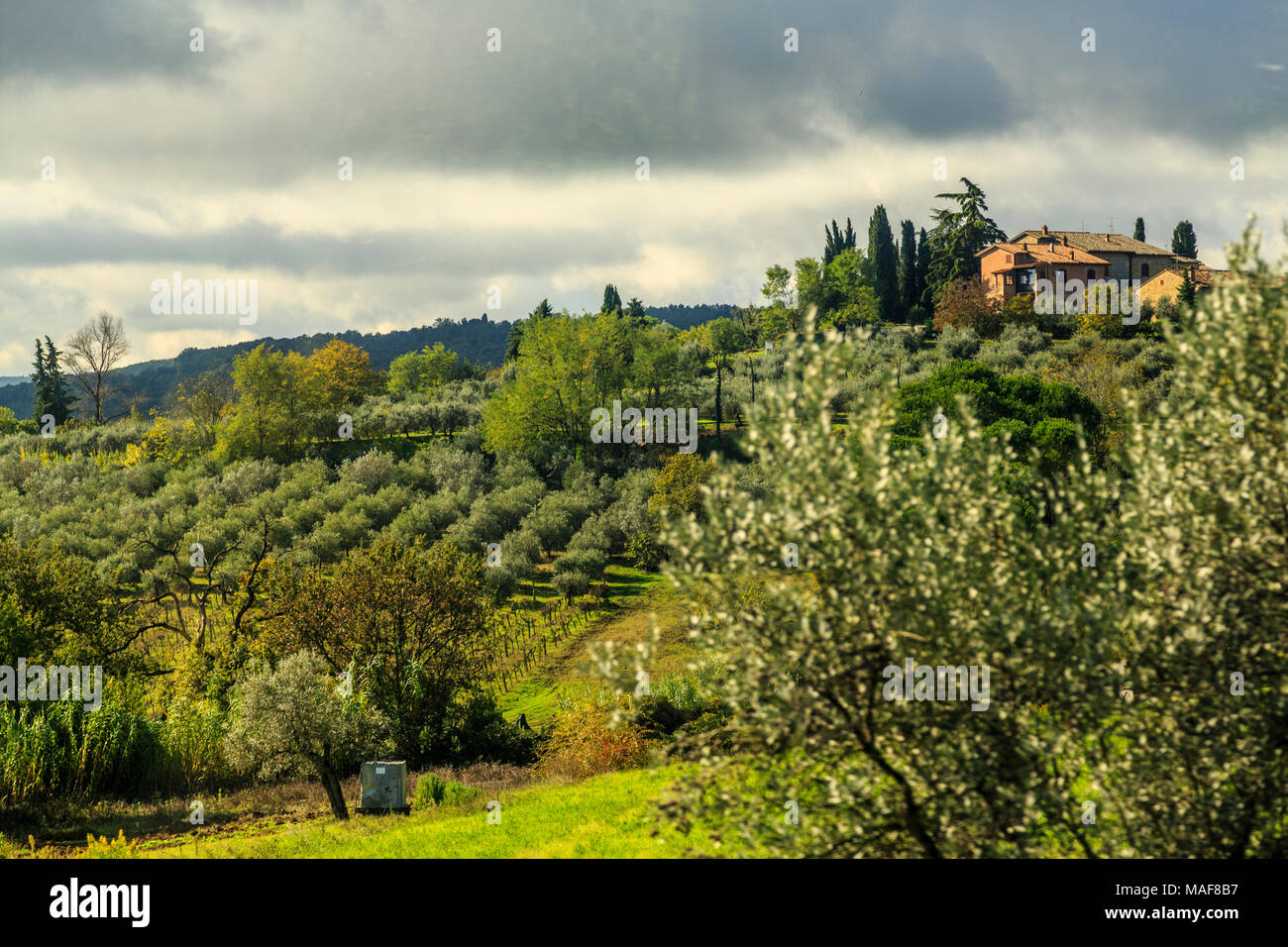 View from a bus window in Tuscany Stock Photo - Alamy