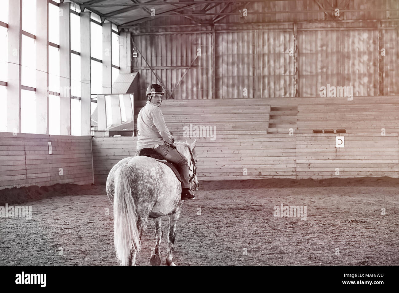 Young people on a horse training in a wooden arena Stock Photo - Alamy