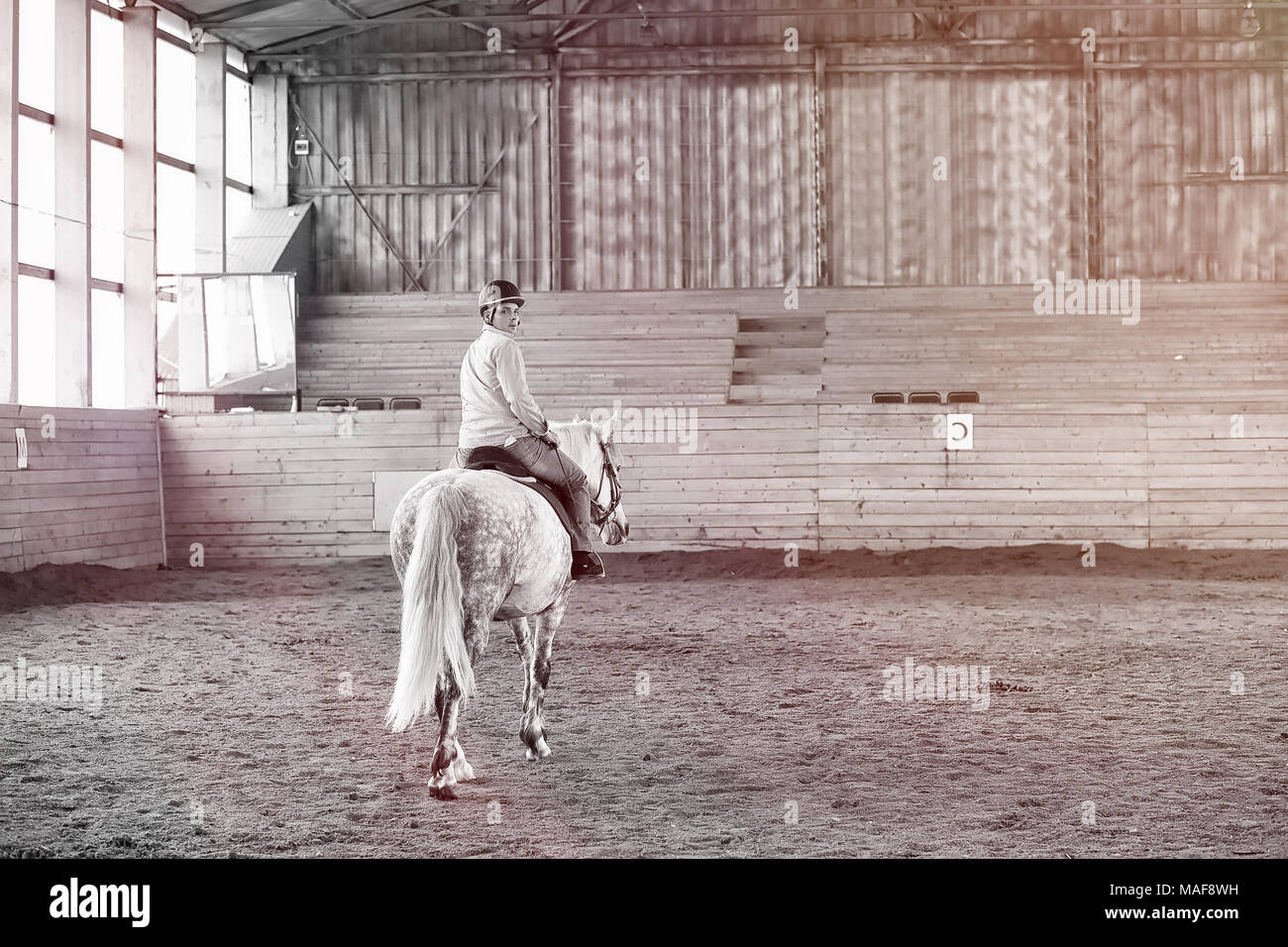 Young people on a horse training in a wooden arena Stock Photo - Alamy