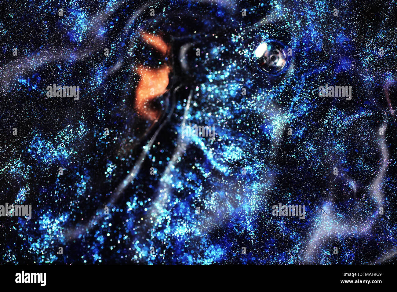 Astronomical photograph of the universe in a distant galaxy with ...