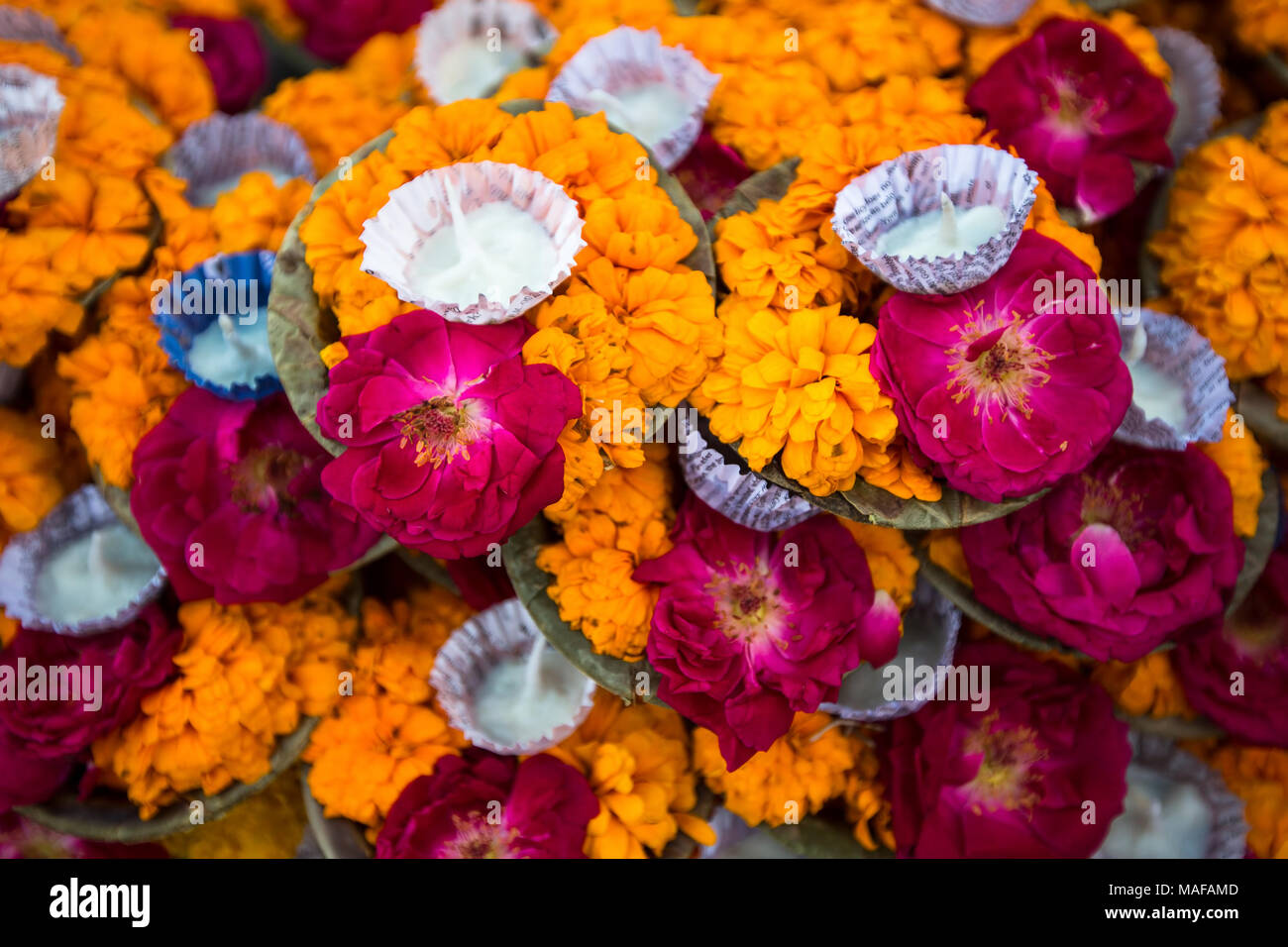 Flower petals for puja ceremony on the banks of Ganga river in Varanasi ...