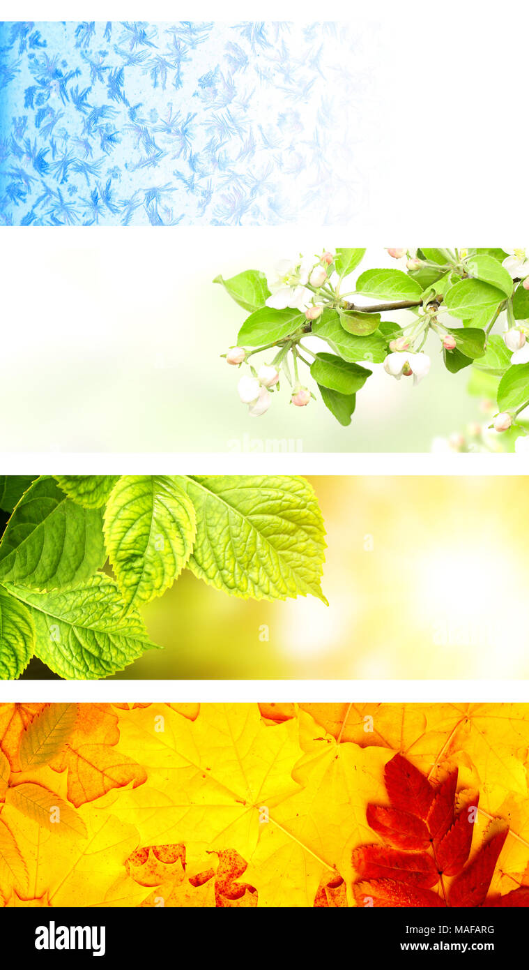 Four seasons of year. Collection of horizontal nature banners with ...