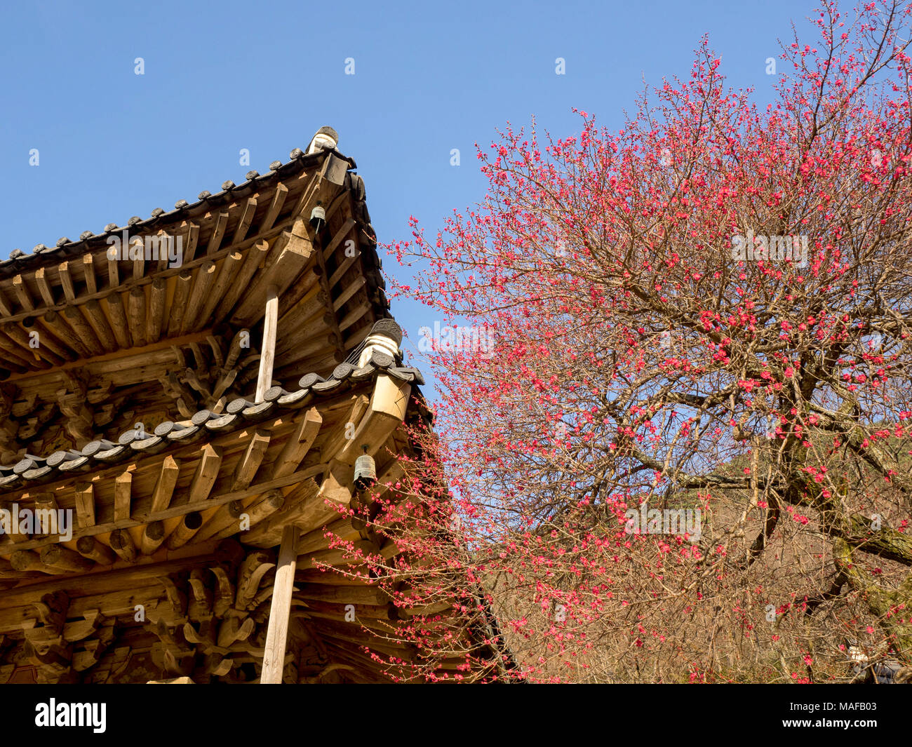 Hwaeomsa temple hi-res stock photography and images - Alamy