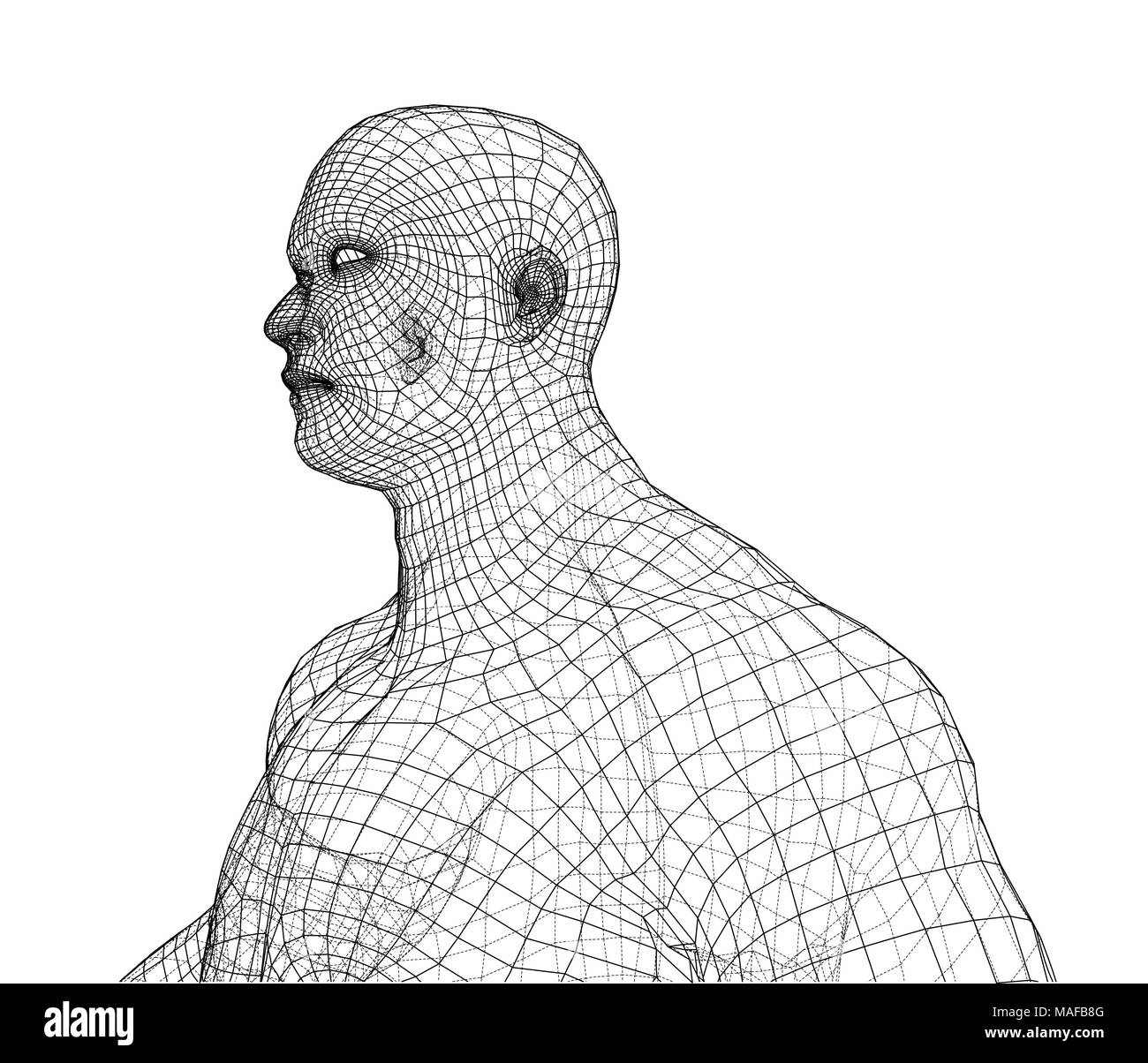 Wire frame athlete body on white background Stock Vector Image & Art ...