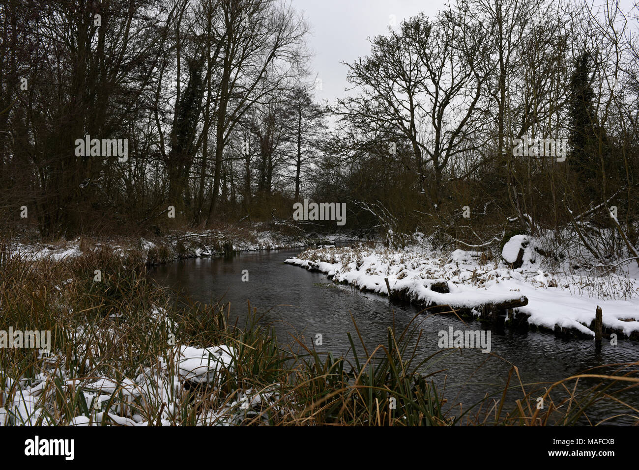 Wintry scenes in Rooksbury Mill Local Nature Reserve, Andover ...