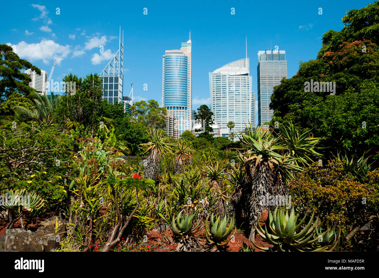 Botanical Garden - Sydney - Australia Stock Photo - Alamy