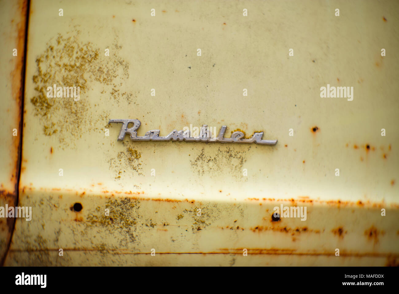 The chromed "Rambler" logo on the front fender of a 1951 Nash Rambler ...