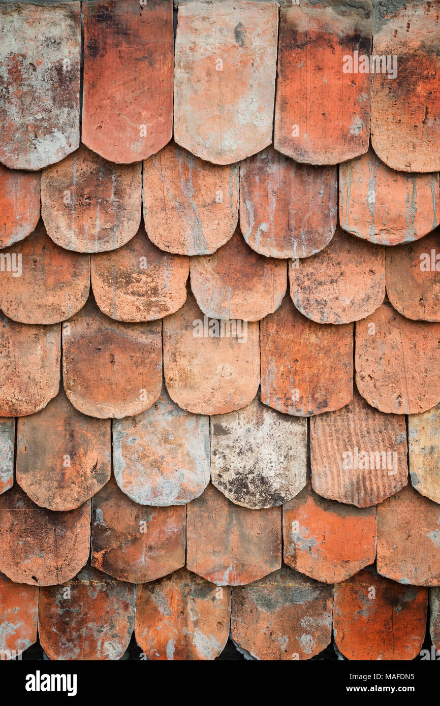 Red Vignette Texture