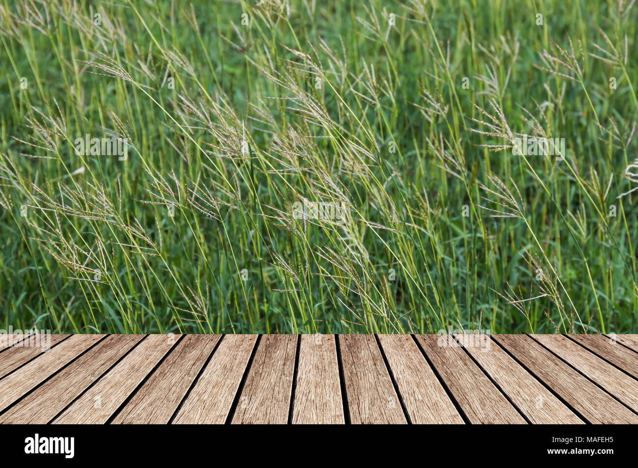 Dark textured floor under soft hi-res stock photography and images - Alamy